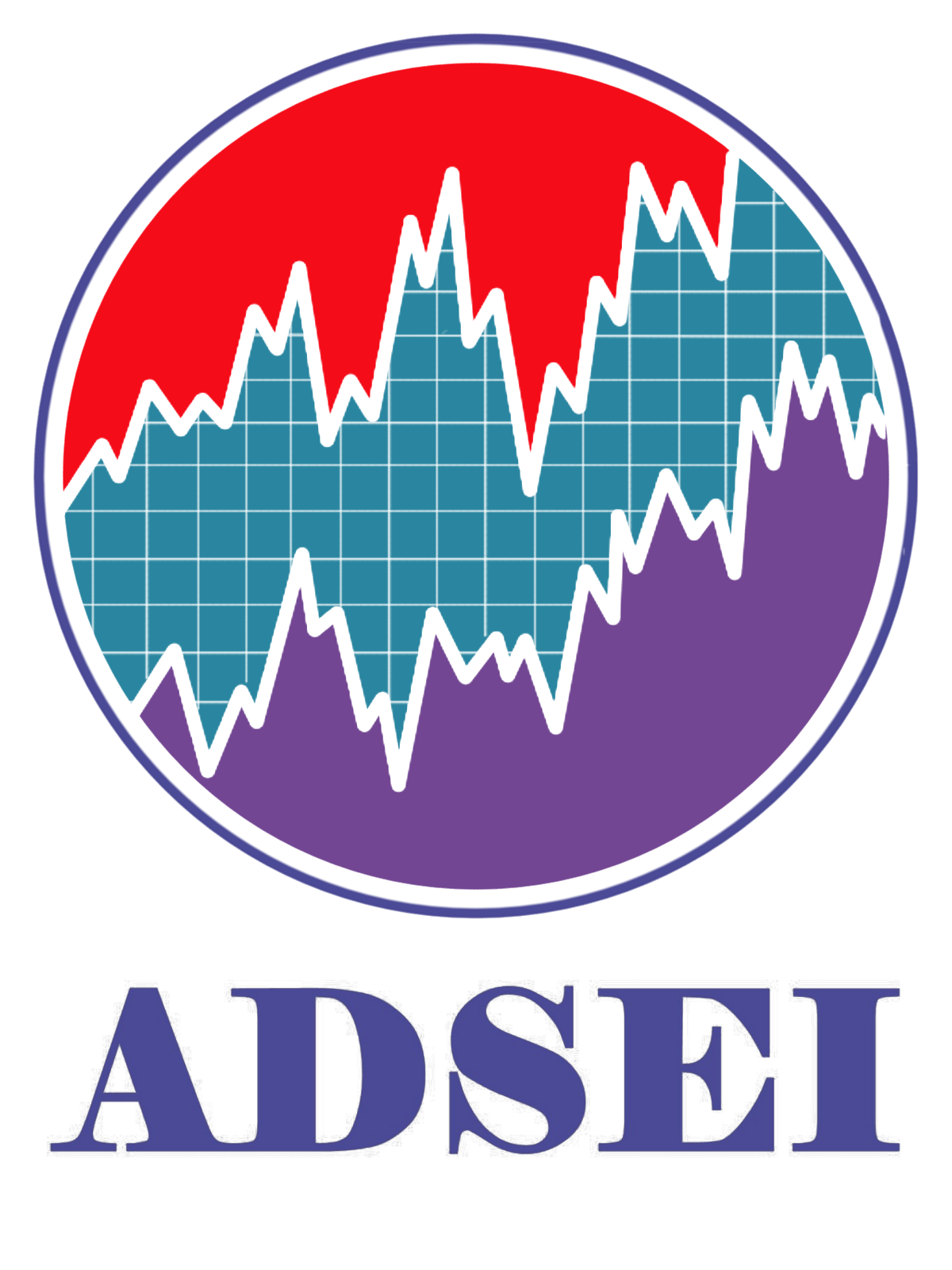 ADSEI logo + name – ADSEI – Teaching Kids to Change the World